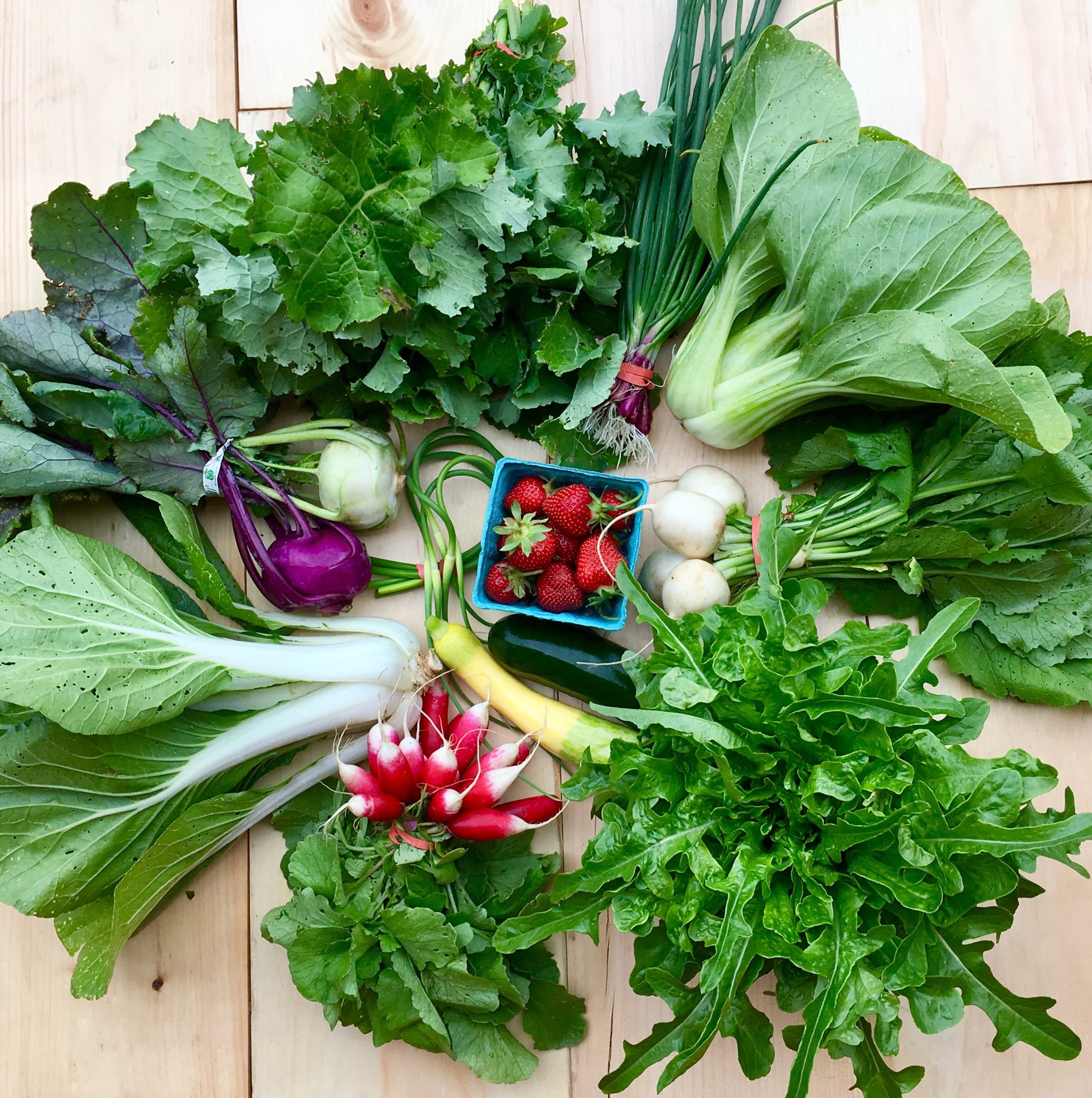 Photo Gallery – Holcomb Farm