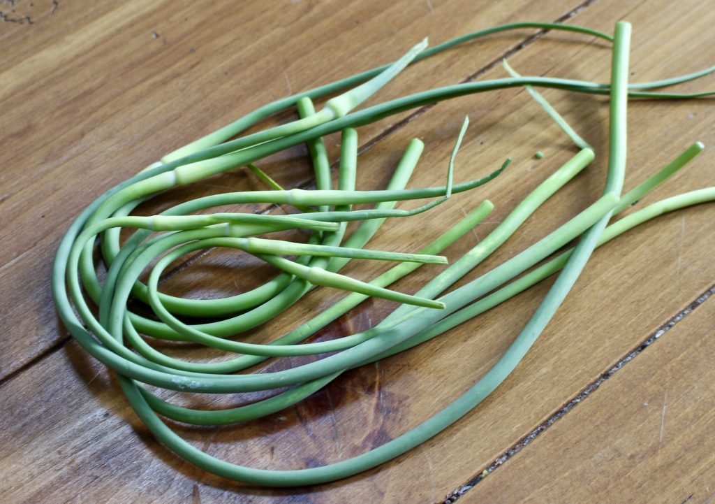 Simply Fresh–week 2–Garlic Scapes, Broccoli Rabe, and More Bok Choy ...
