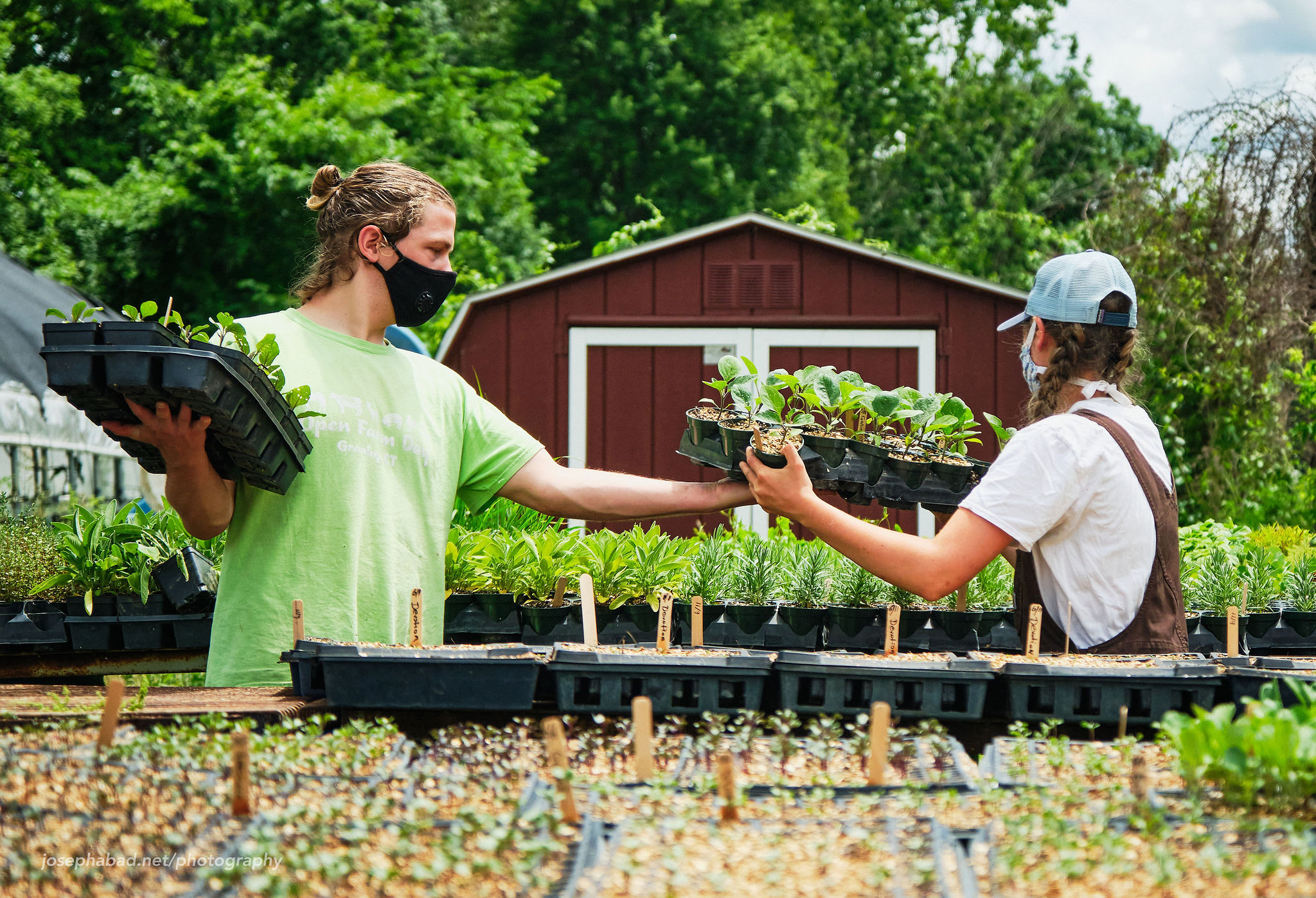 Join Our CSA – Holcomb Farm