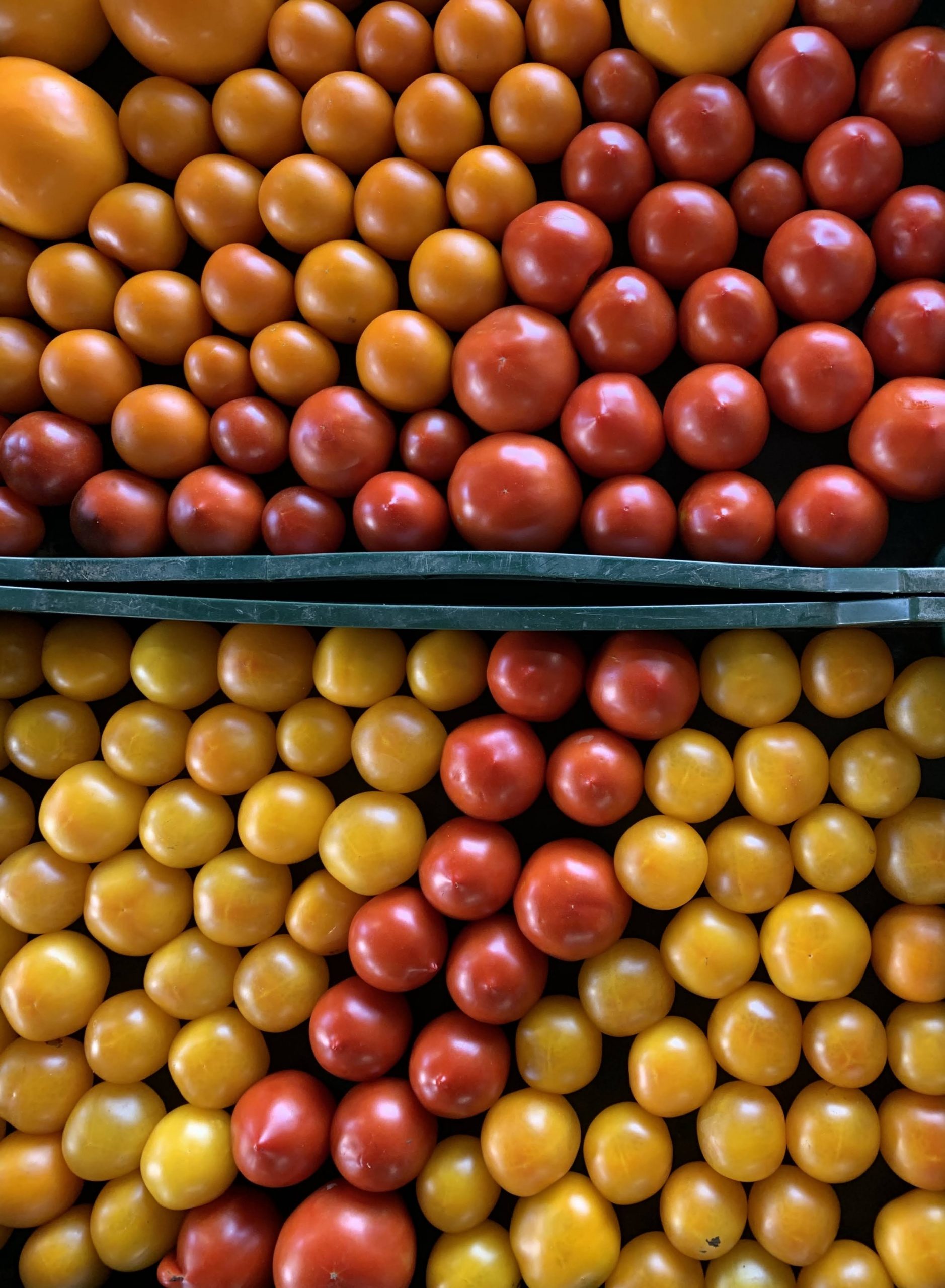 Join Our CSA – Holcomb Farm
