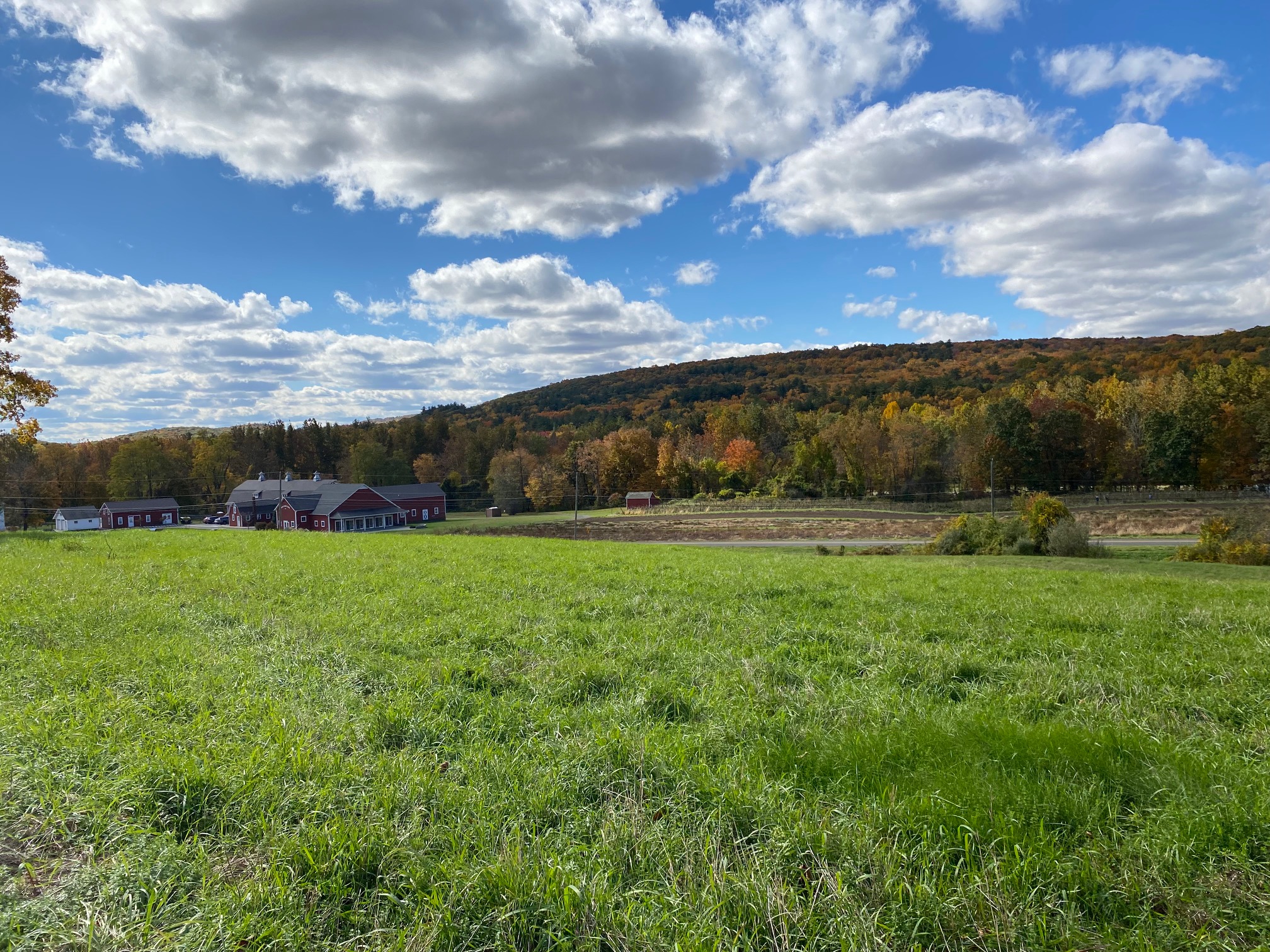 Trails – Holcomb Farm