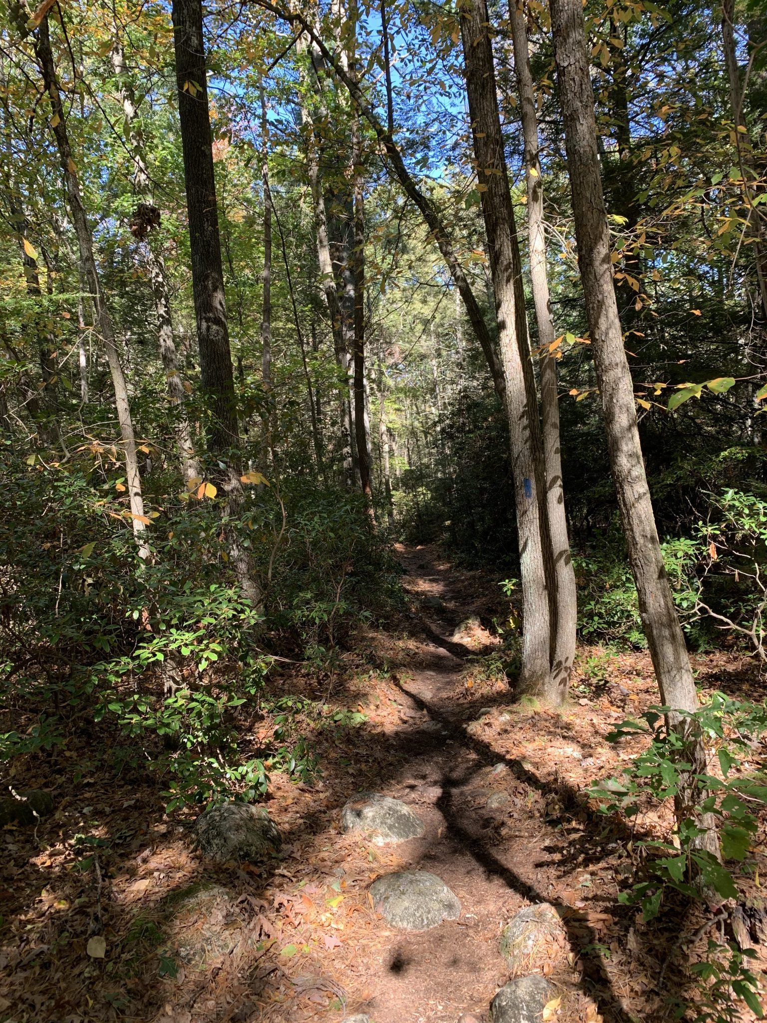 Trails – Holcomb Farm