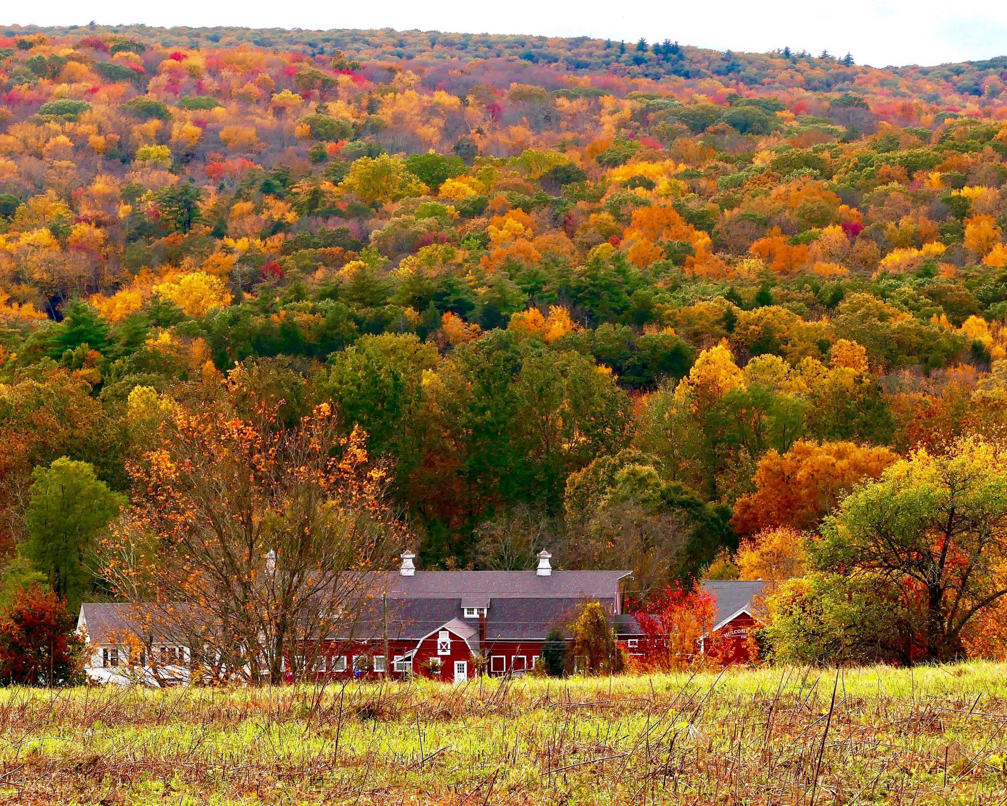 Holcomb Farm – A place to grow since 1756.